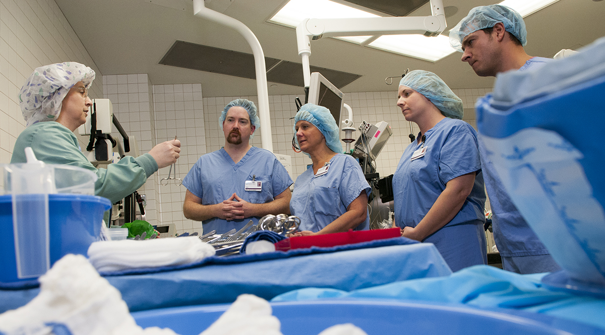 Health Professions and Public Service | Waubonsee Community College