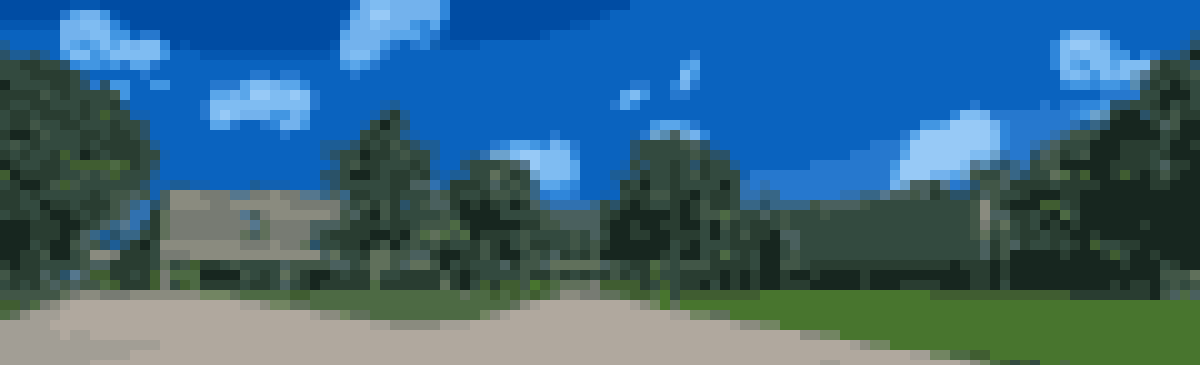 Level Up | Waubonsee Community College