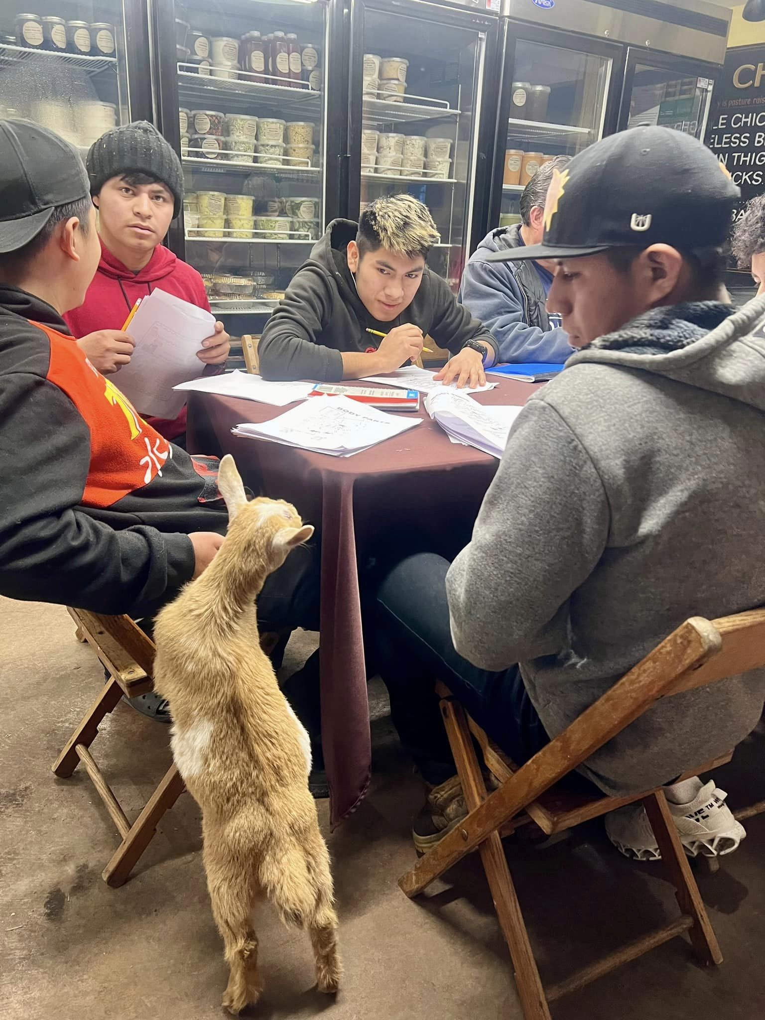 Waubonsee Partners with Local Farm to Eliminate Barriers to Learning ...