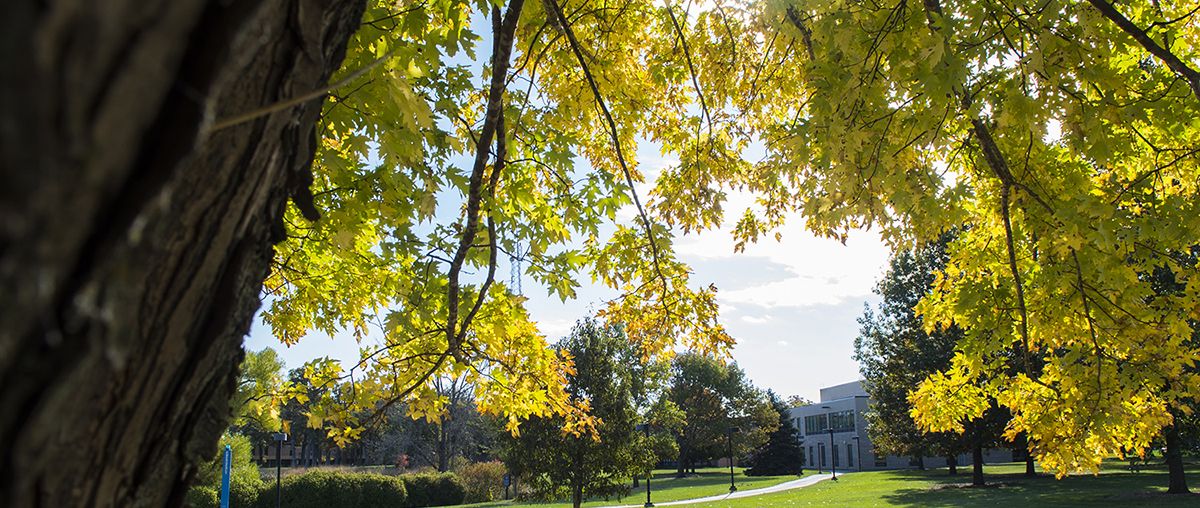 About Waubonsee | Waubonsee Community College