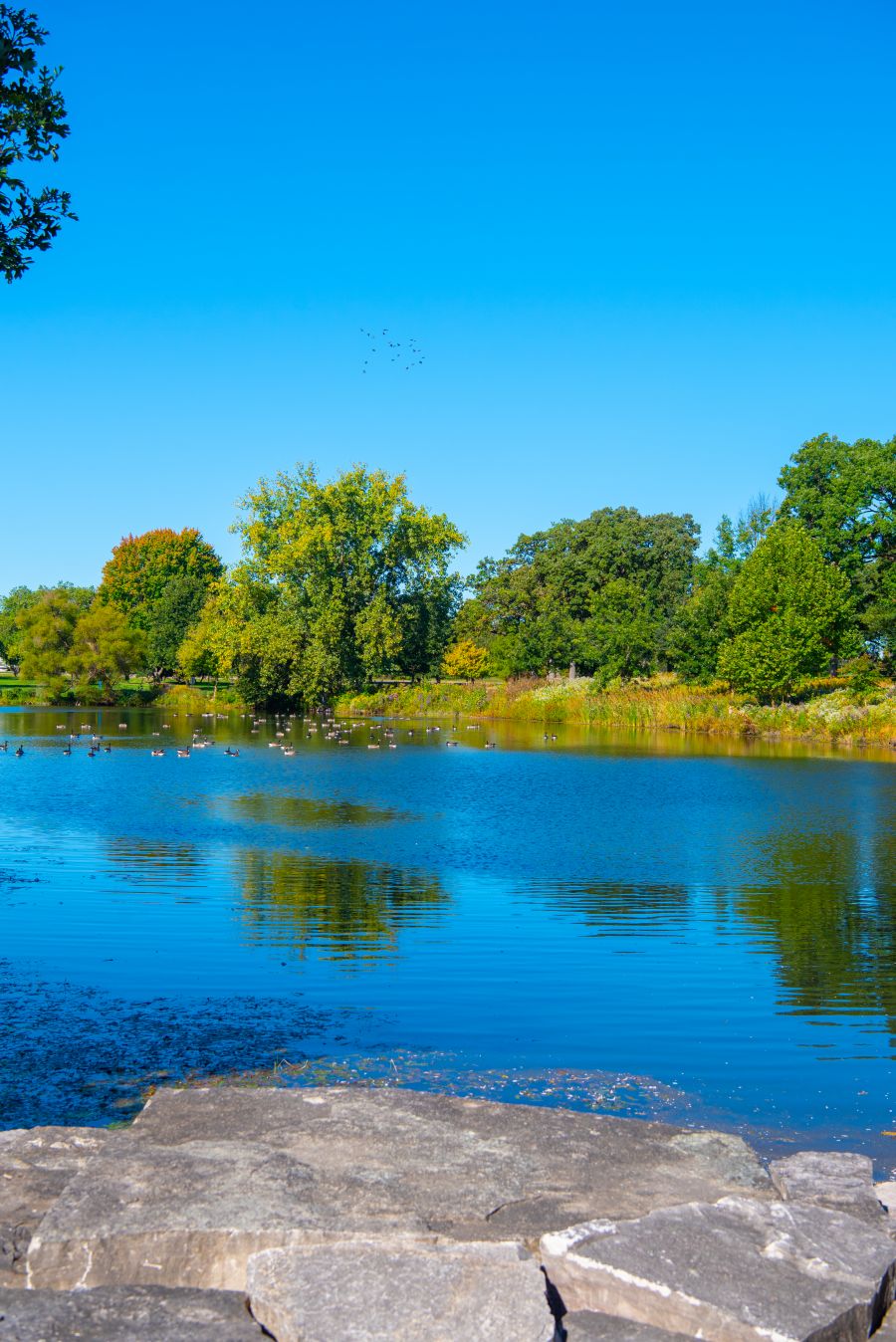 Waubonsee Receives $350K Grant to Help Students Launch Careers in ...